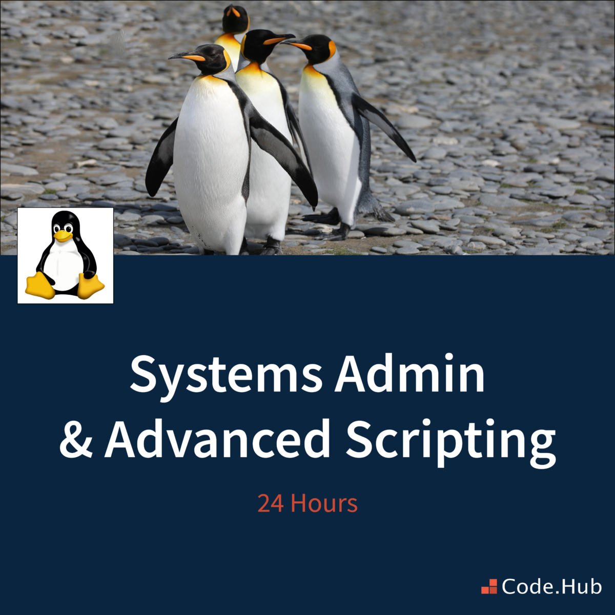 Big Data – Code.Hub