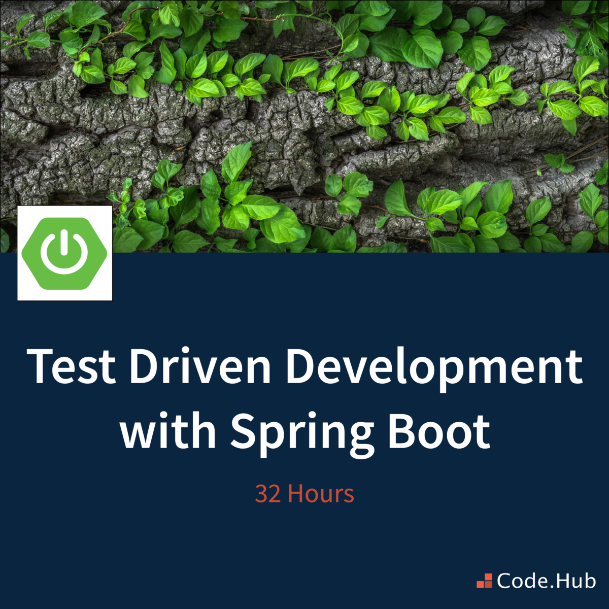 Code.Learn Programs – Code.Hub