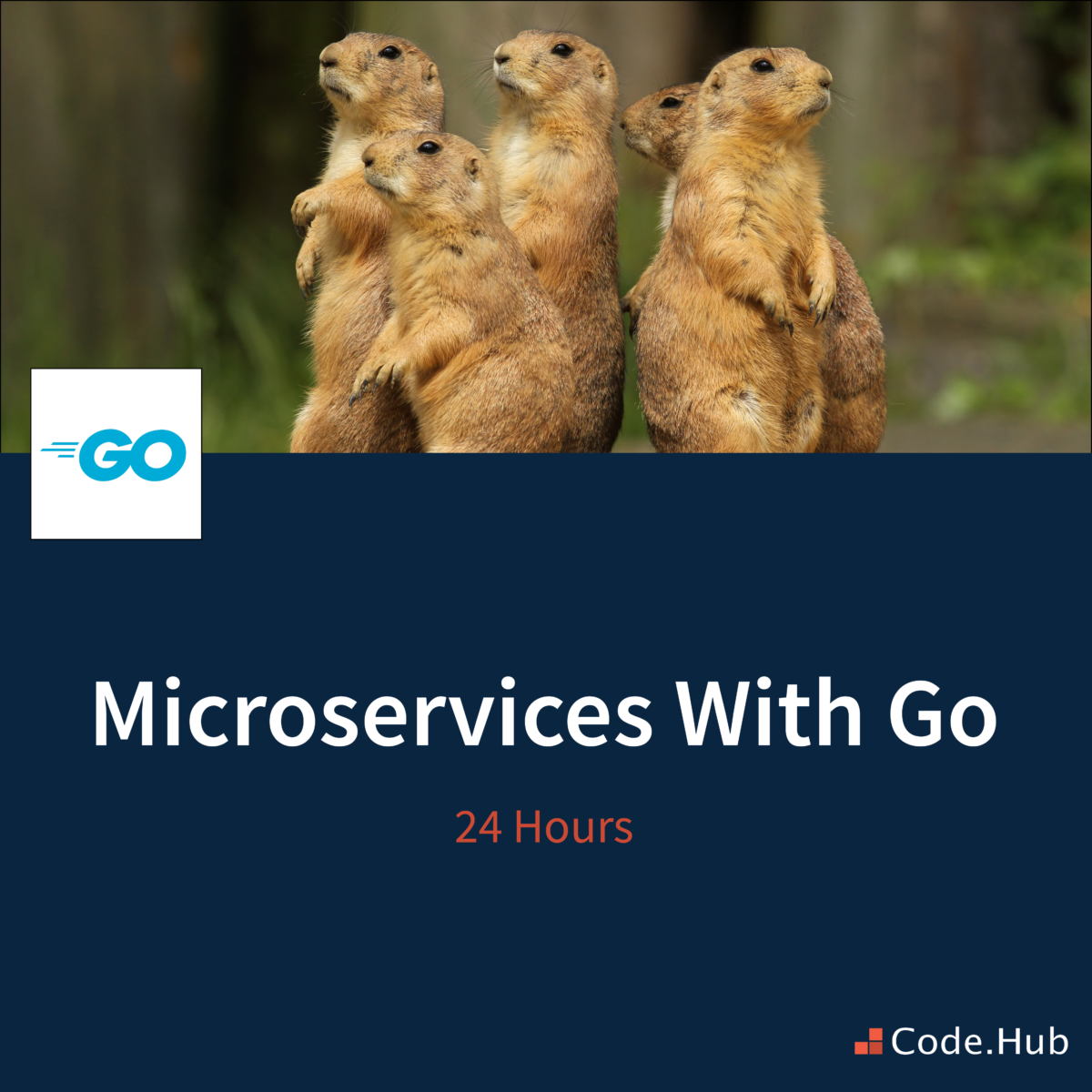 Codelearn Programs Codehub