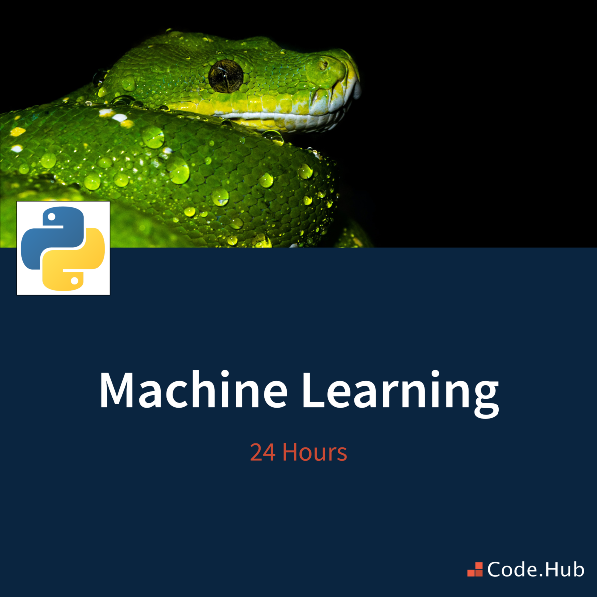 Machine Learning – Code.Hub