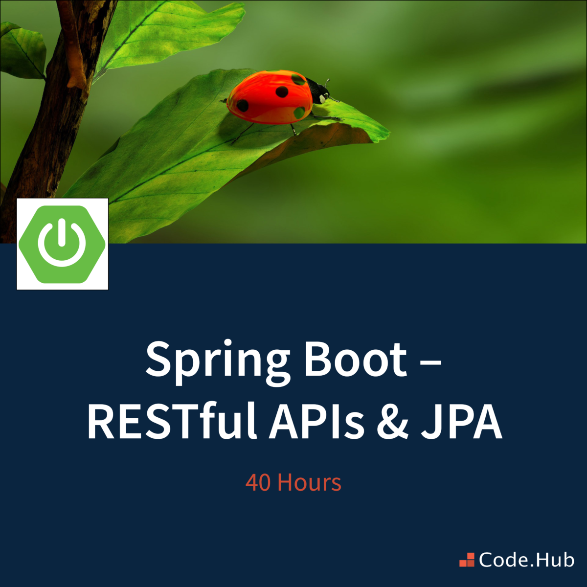 Spring Boot – RESTful APIs & JPA – Code.Hub Spring Boot – RESTful APIs & JPA – Code.Hub