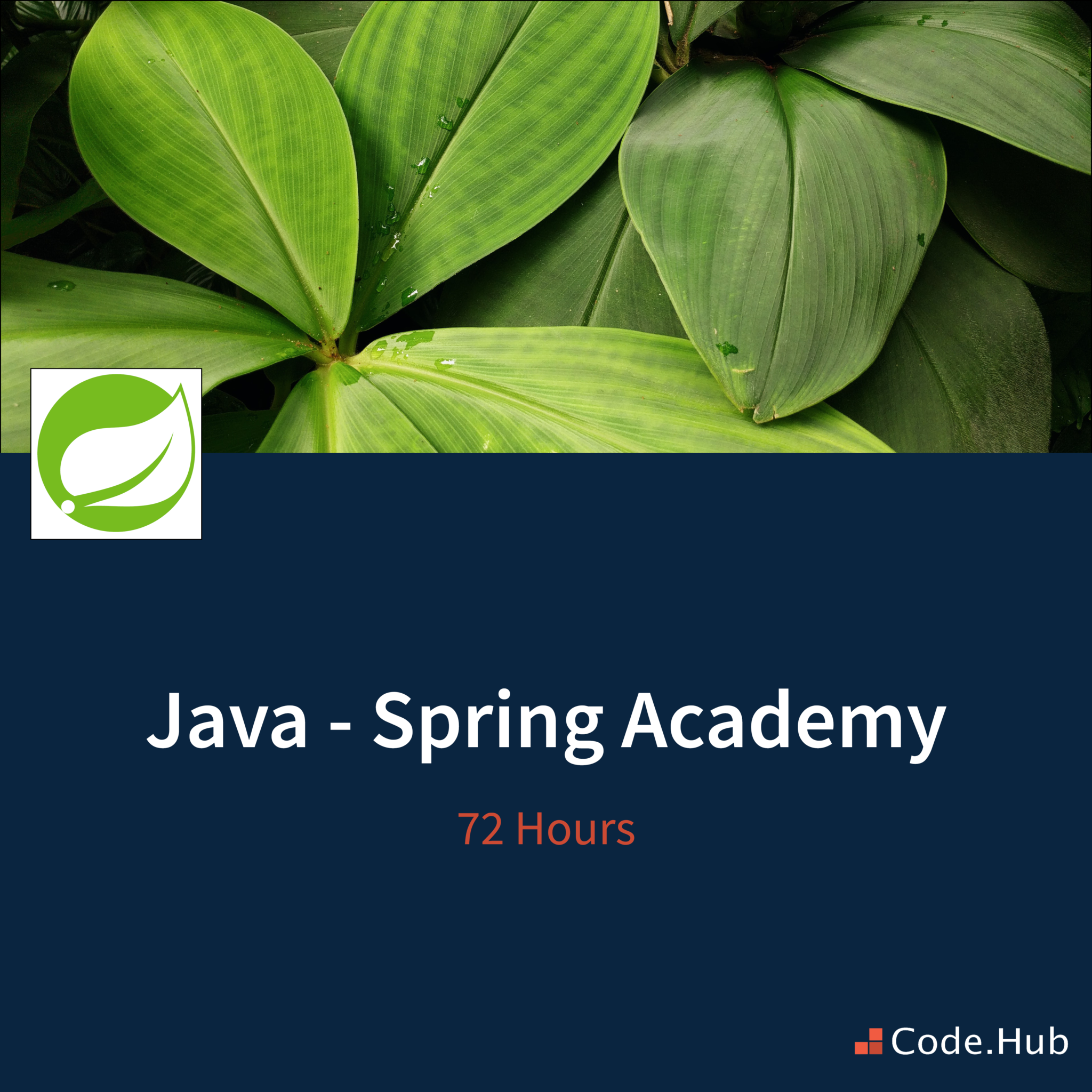 Code.Learn Programs – Code.Hub